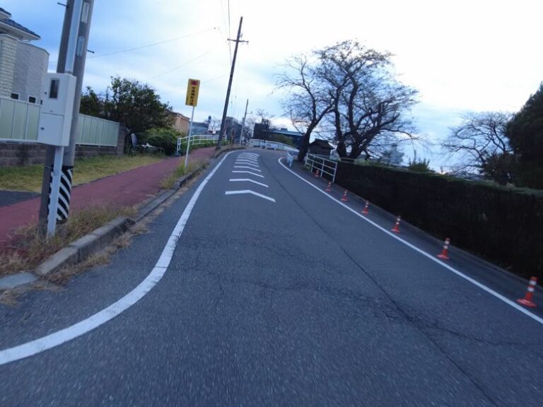 SWALLOW ZERO9 Liteをレビュー！免許なしで公道・坂道がスイスイ走れる電動キックボード