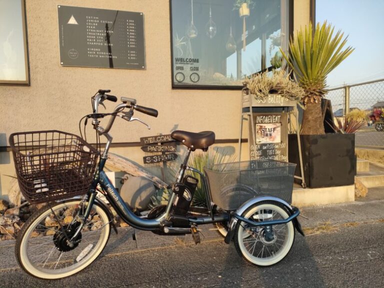 ペルテックの三輪電動自転車 TDR-163Lをレビュー！安定感があって荷物載せに困らないモデル