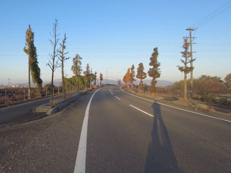 AINOHOTの原付一種 電動キックボード「ECOGO」をレビュー！