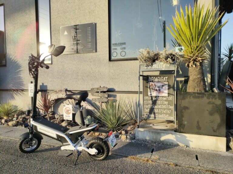 AINOHOTの原付一種 電動キックボード「ECOGO」をレビュー！